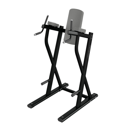 Lifefitness Dip_Leg Raise – Axiom Series