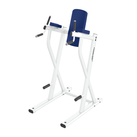 Lifefitness Dip_Leg Raise – Axiom Series